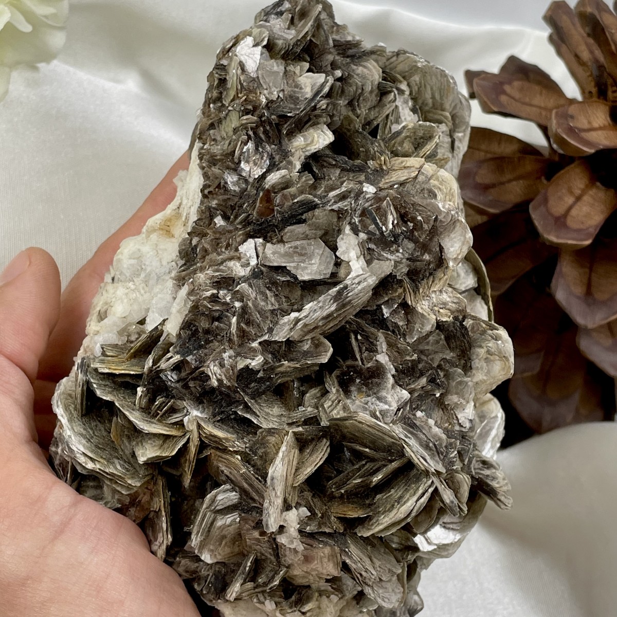 Albitas su muskovitu, 1,36 kg. – GYVI KRISTALAI