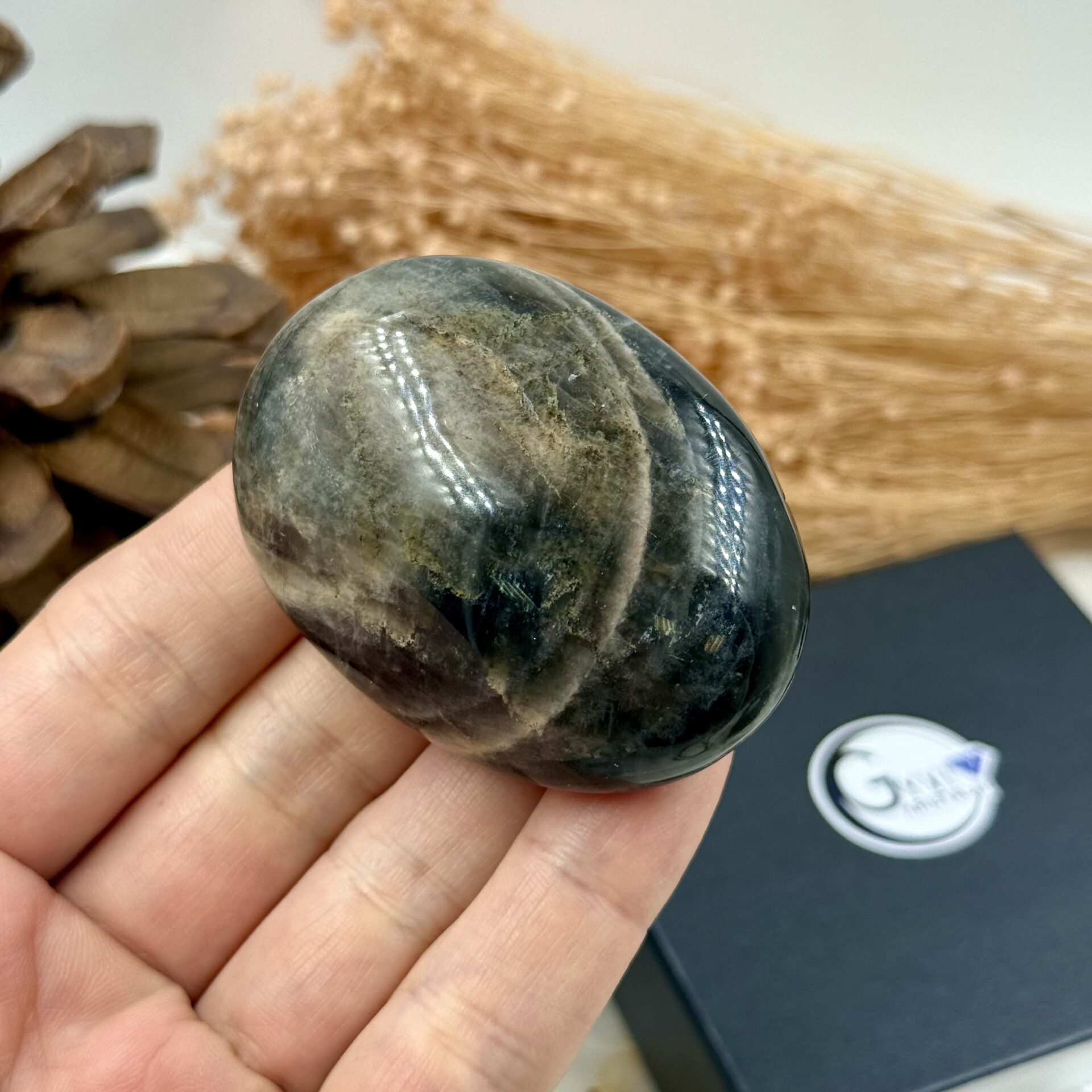 Juodasis mėnulio akmuo, 120 gr. – GYVI KRISTALAI